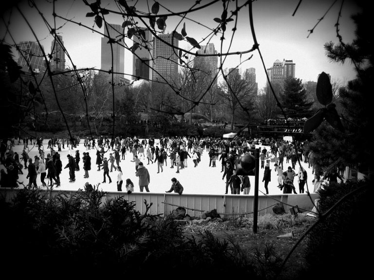 Everything You Need To Know About Wollman Rink - Transitional Content